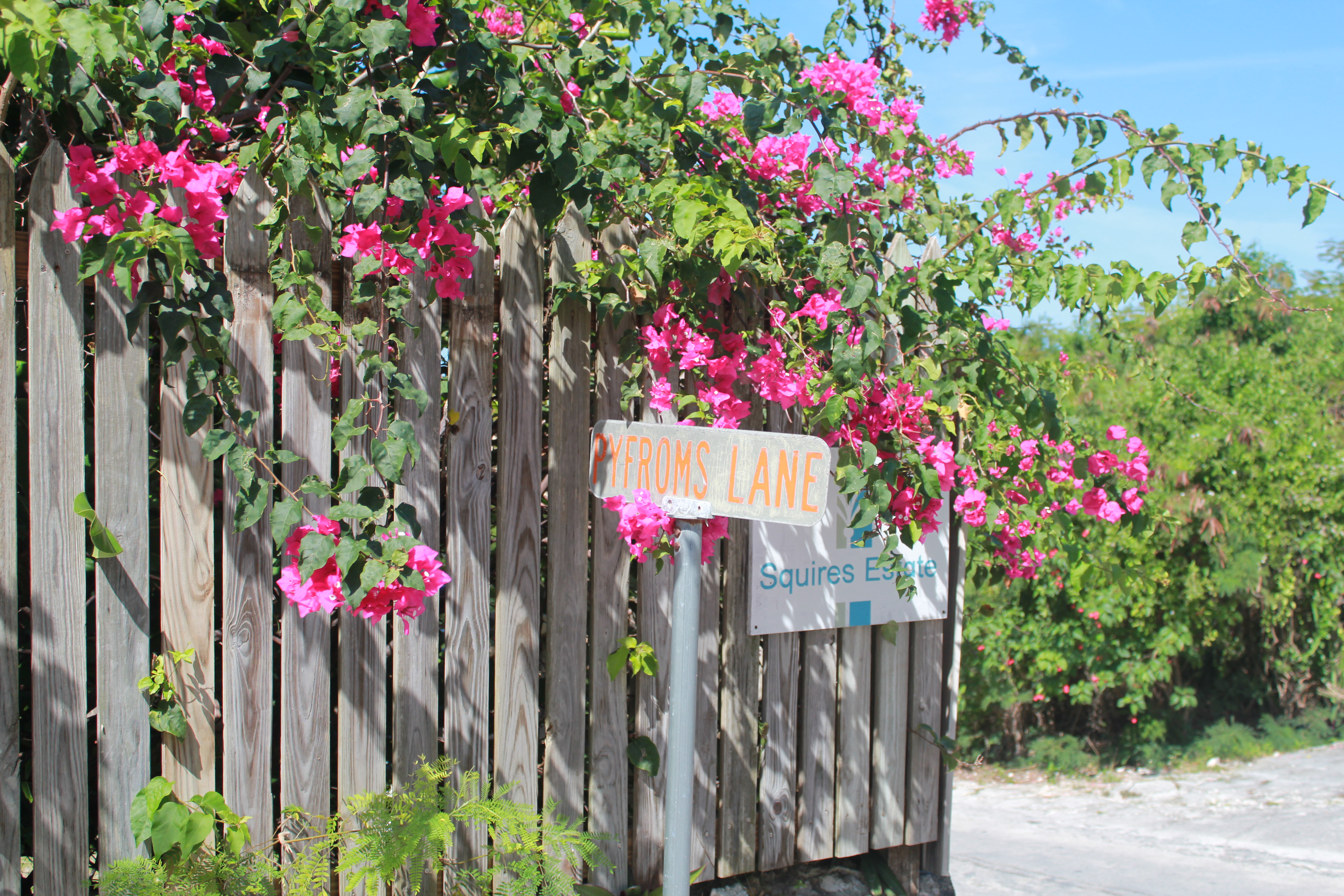 Major Bucket List: Eleuthera Is Always A Good Idea.. - SHESOMAJOR